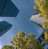 Power Platform: Was ist das? | novaCapta